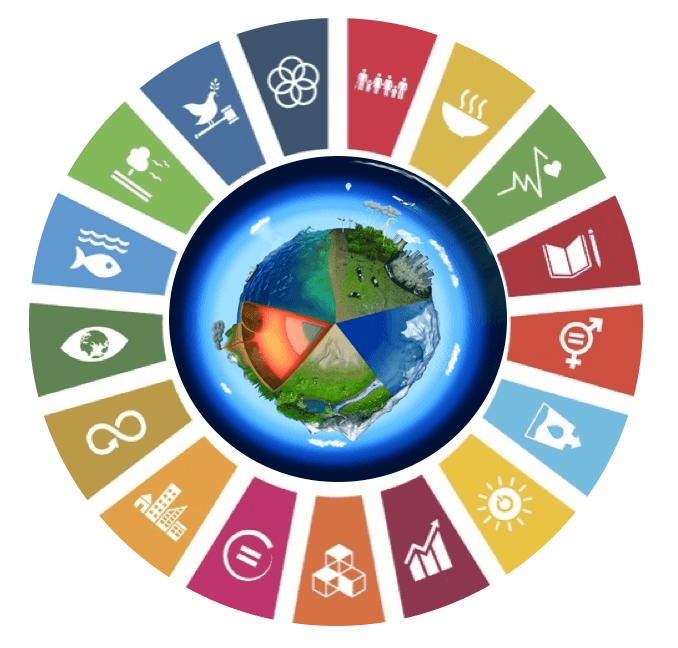 We Are Leaders in Sustainability – Soibi-Einstein