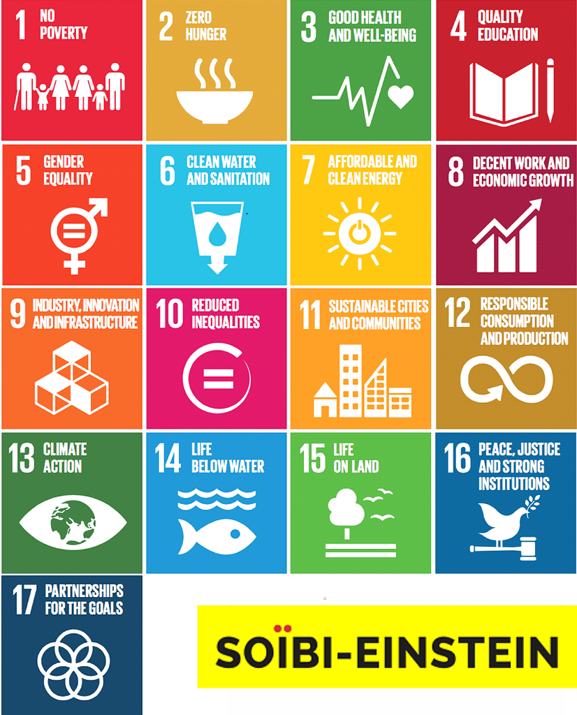 Soibi-Einstein – Soibi-Einstein