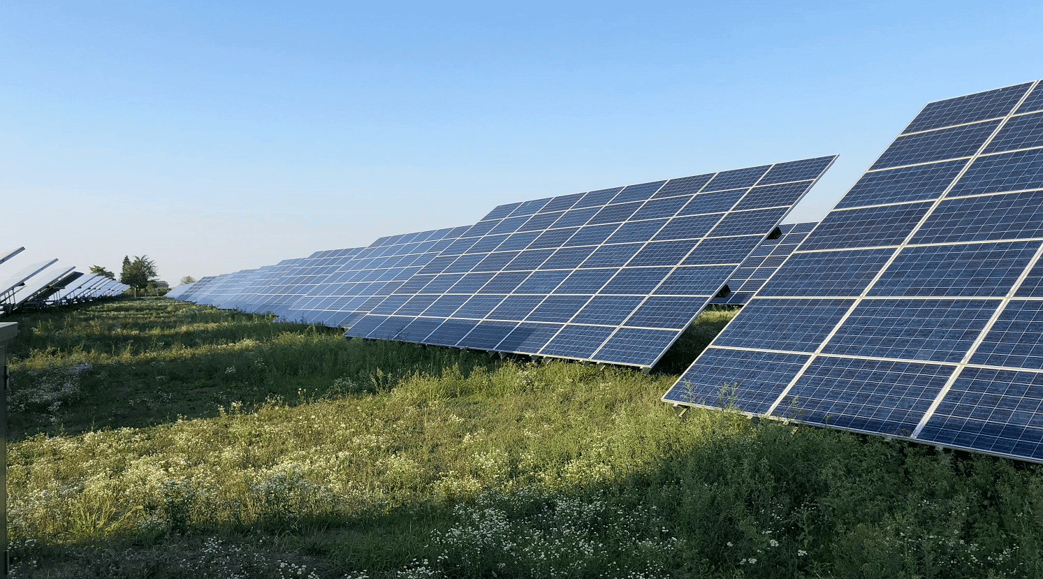 Soibi-Einstein – Soibi-Einstein